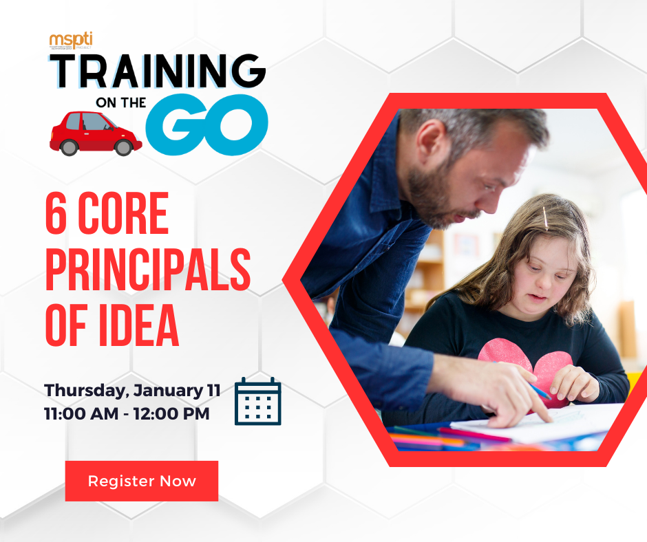 6 Core Principals of IDEA - Jan. 11