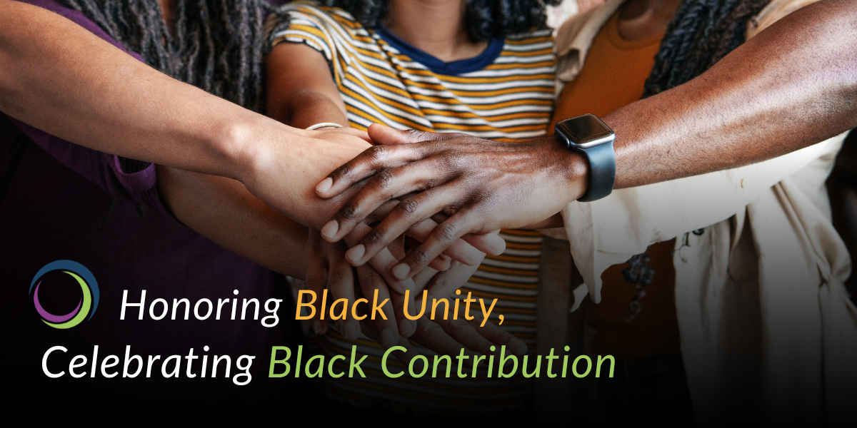 365 Black: One Community United in Blackness: A Celebration of Black ...